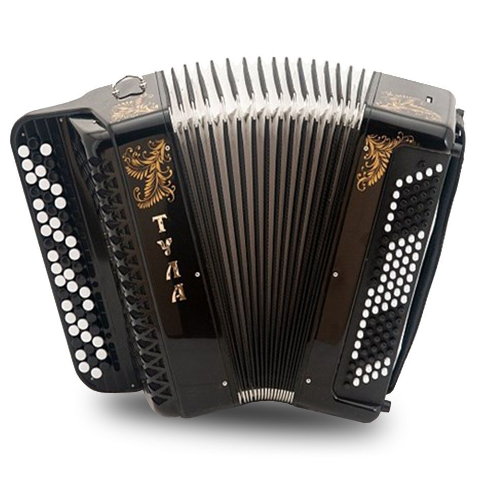 Баян Ученический ТУЛА-210 55Х100-II - купить с доставкой по выгодным ценам в интернет-магазине ...