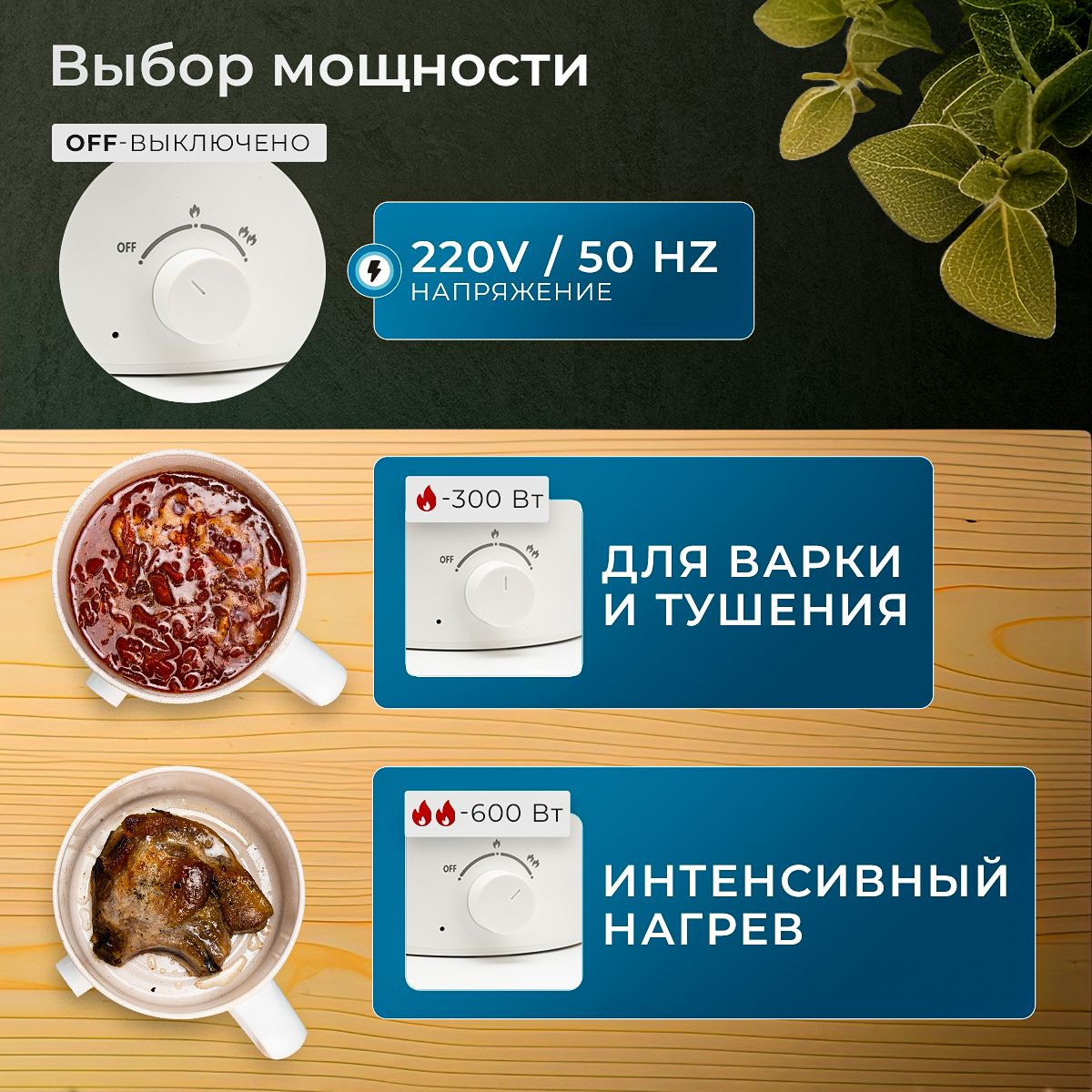 Мультиварка-скороварка PAZZL EP-10_1.6 - купить по доступным ценам в интернет-магазине OZON ...