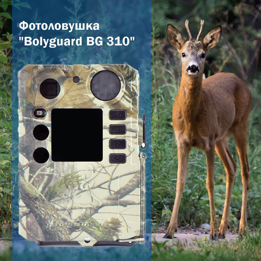 Фотоловушка "Bolyguard BG 310" для охоты, охраны дома или дачи купить ...