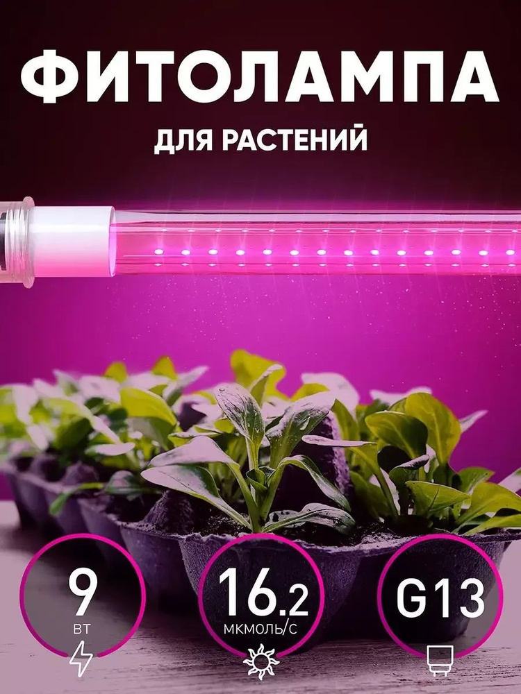 Фитолампа для растений и рассады светодиодная красно-синий спектр ЭРА FITO-9W-RB-Т8-G13-NL / LED ...