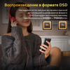 Diofox X50 мп3 плеер HI-FI, 2 дюймов С картой памяти 64 ГБ/ Поддержка ...