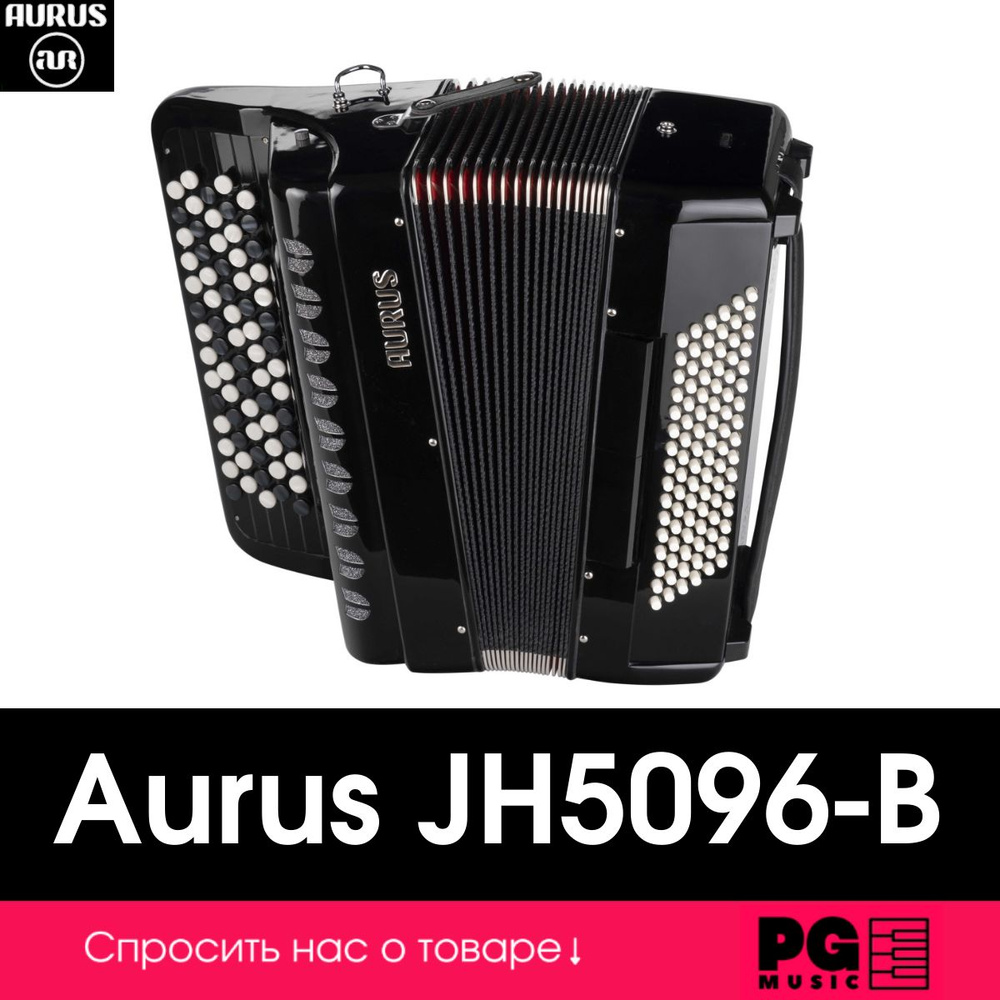 Аккордеон кнопочный JH5096-BLACK купить на OZON по низкой цене в ...