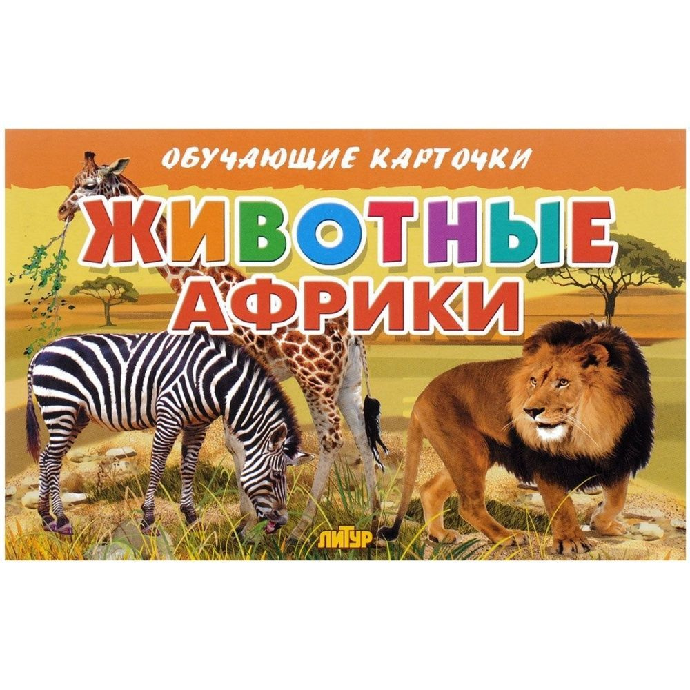 Обучающие карточки Литур Животные Африки. В европакете - купить с ...