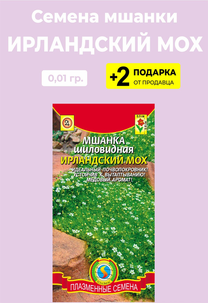 Мшанка (мох ирландский) For Home And Family Ирландский мох - купить по ...