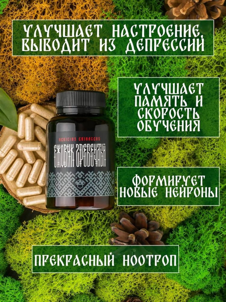 Ежовик (ежевик) гребенчатый (Hericium Erinaceus), 100 капсул - купить с ...
