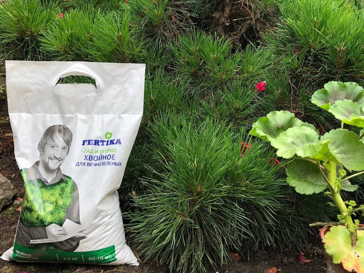 Удобрение Fertika Фертика Хвойное для вечнозеленых 5 кг - купить с доставкой по выгодным ценам в ...