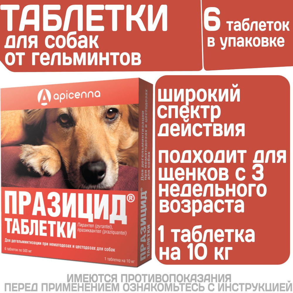 Таблетки от гельминтов для собак Празицид APICENNA, 6таб. Празиквантел ...