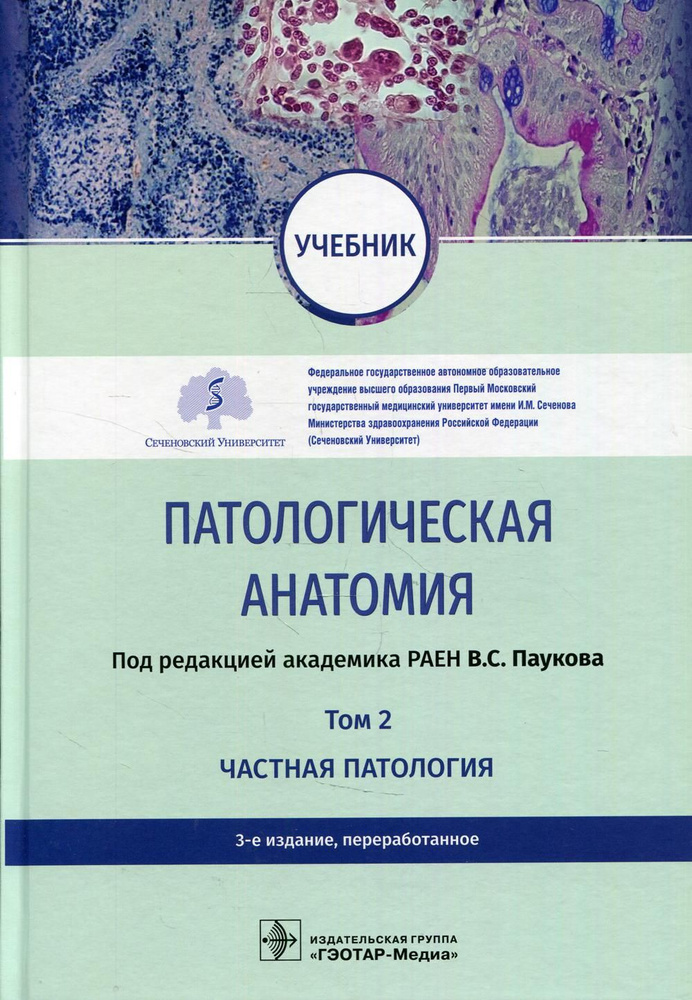 Патологическая анатомия Учебник В 2 т Т 2 Частная патология 3 е изд перераб Паукова
