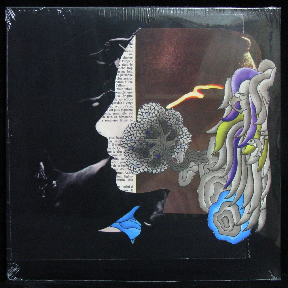 LP Dirty Sound System - Dirty French Psychedelics (винил) (333000 ...