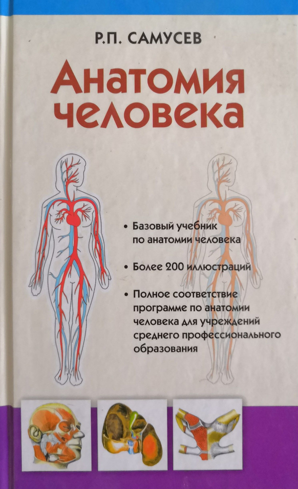 Анатомия человека. Автор: Р.П. Самусев. Базовый учебник по анатомии ...
