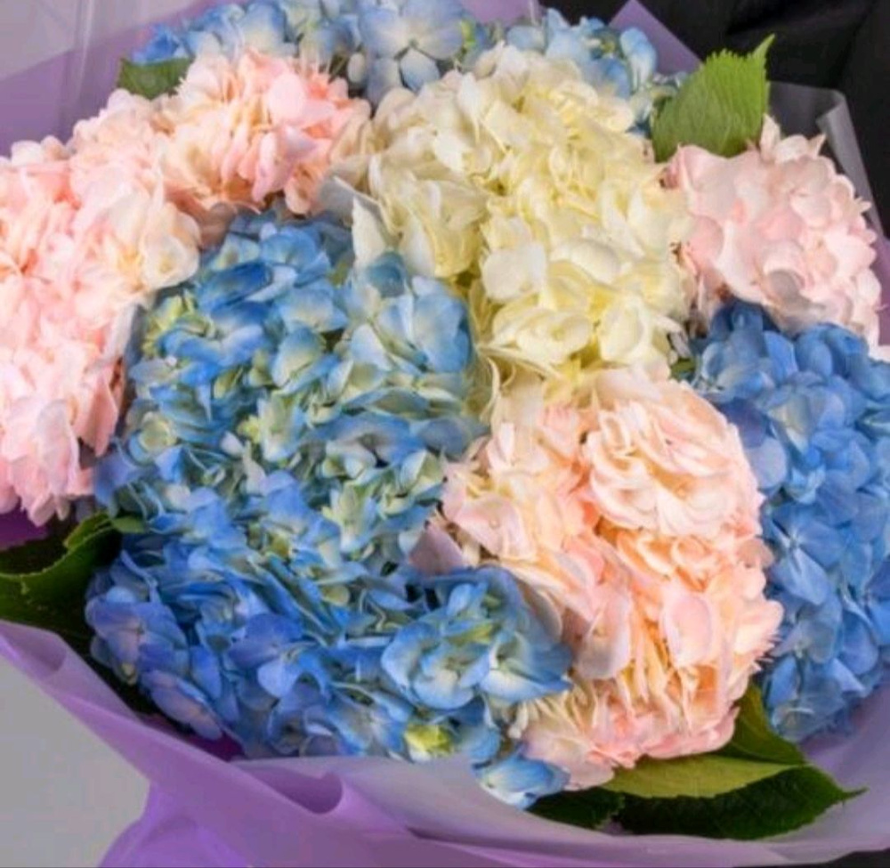 Букет RIGA FLOWERS, 9 шт купить по выгодной цене в интернет-магазине OZON (861523237)