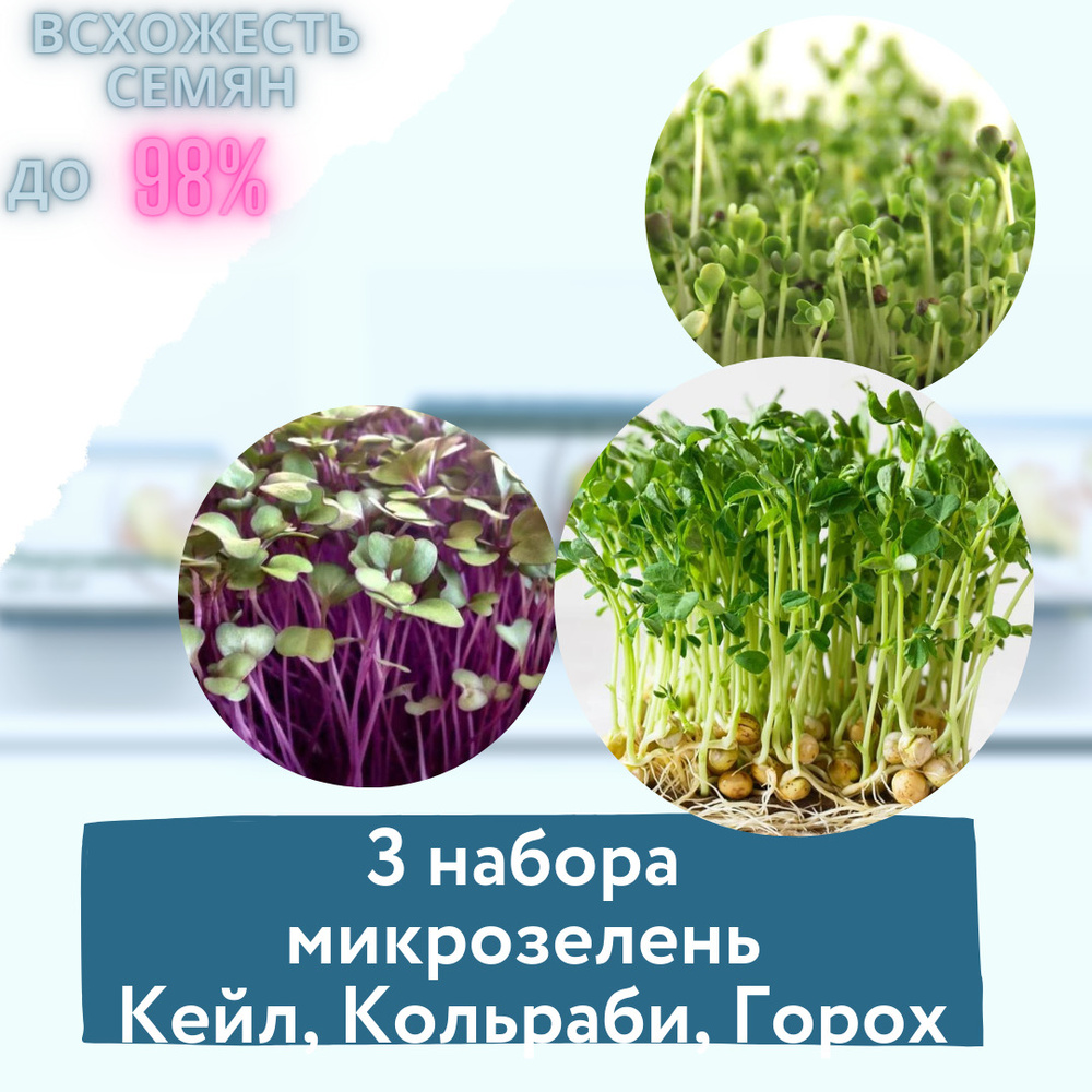 МИКРОЗЕЛЕНЬ 3 Набора для выращивания микрозелени: КЕЙЛ, КОЛЬРАБИ ...