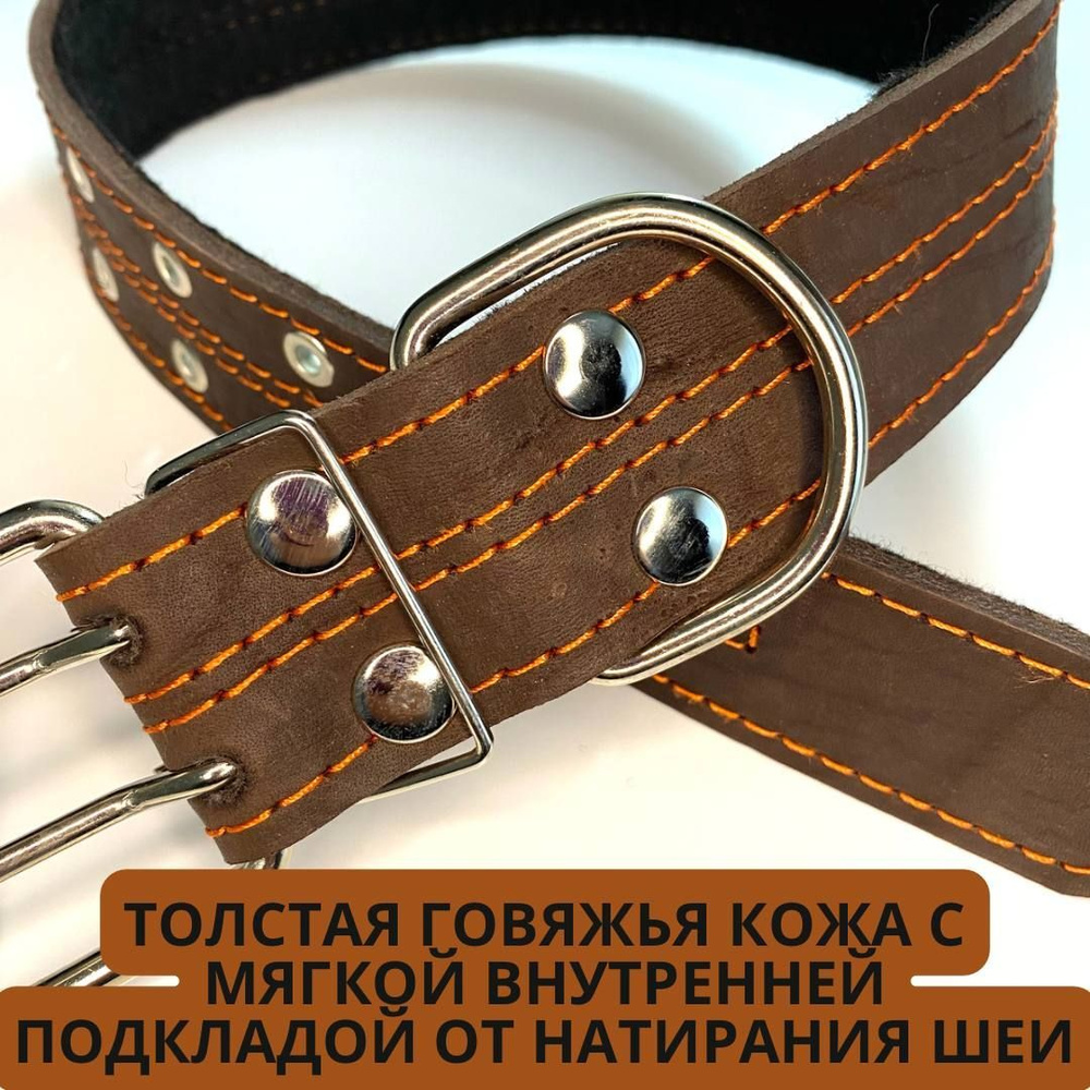 Ошейник для крупных и средних собак купить с доставкой по выгодным