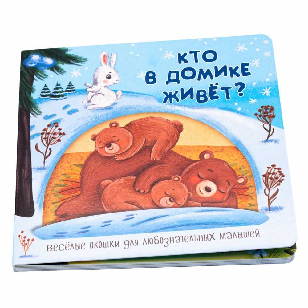 Детская книжка с окошками. КТО В ДОМИКЕ ЖИВЕТ? Развивающие книжки про ...