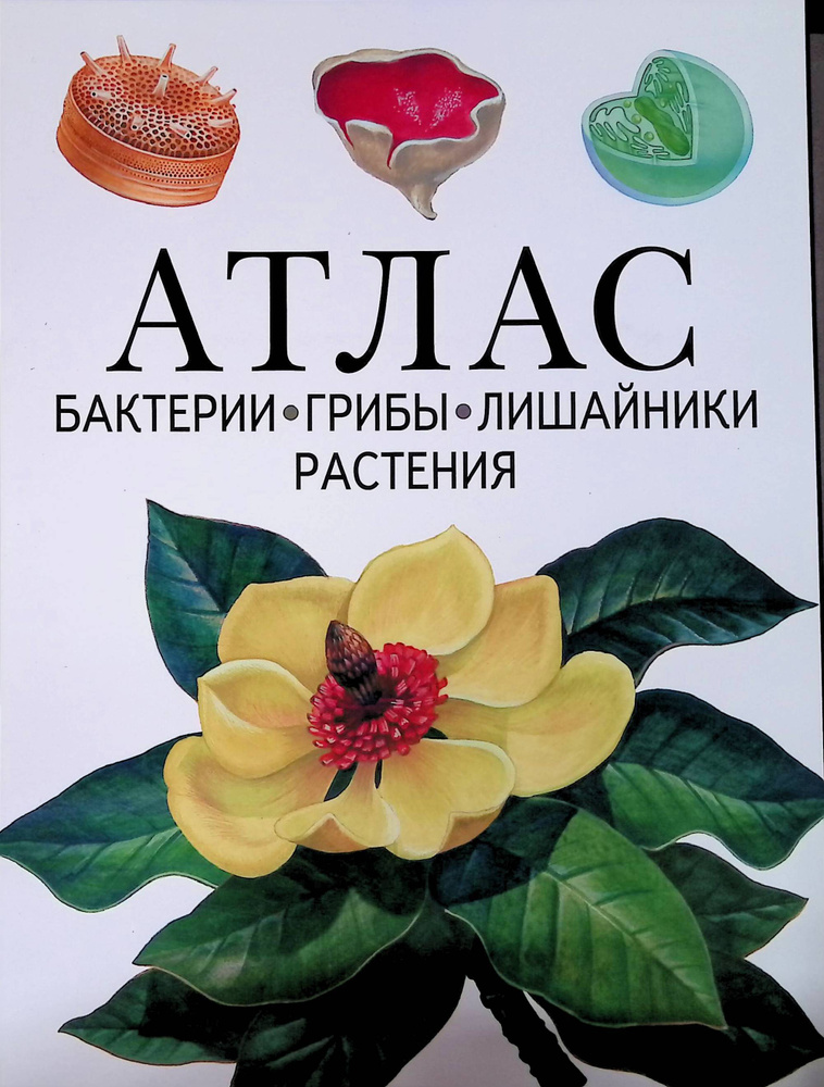 Бактерии грибы лишайники растения Атлас купить с доставкой по