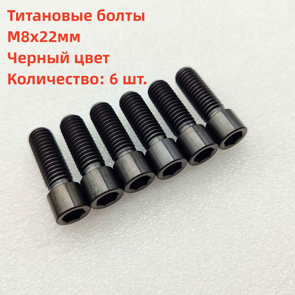 6 шт. Болты титановые стержневые М8х22мм (диаметр головки 10мм), без ...