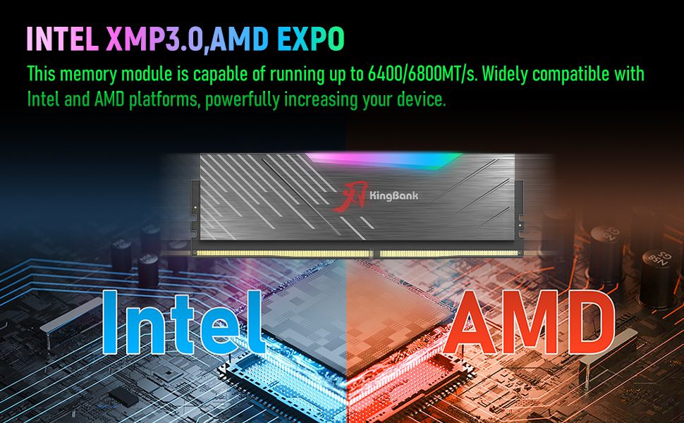 KingBank RGB EXPO XMP DDR5 6000 МГц 32ГБ(16ГБ*2) M-die C36 купить c доставкой на OZON по низкой ...