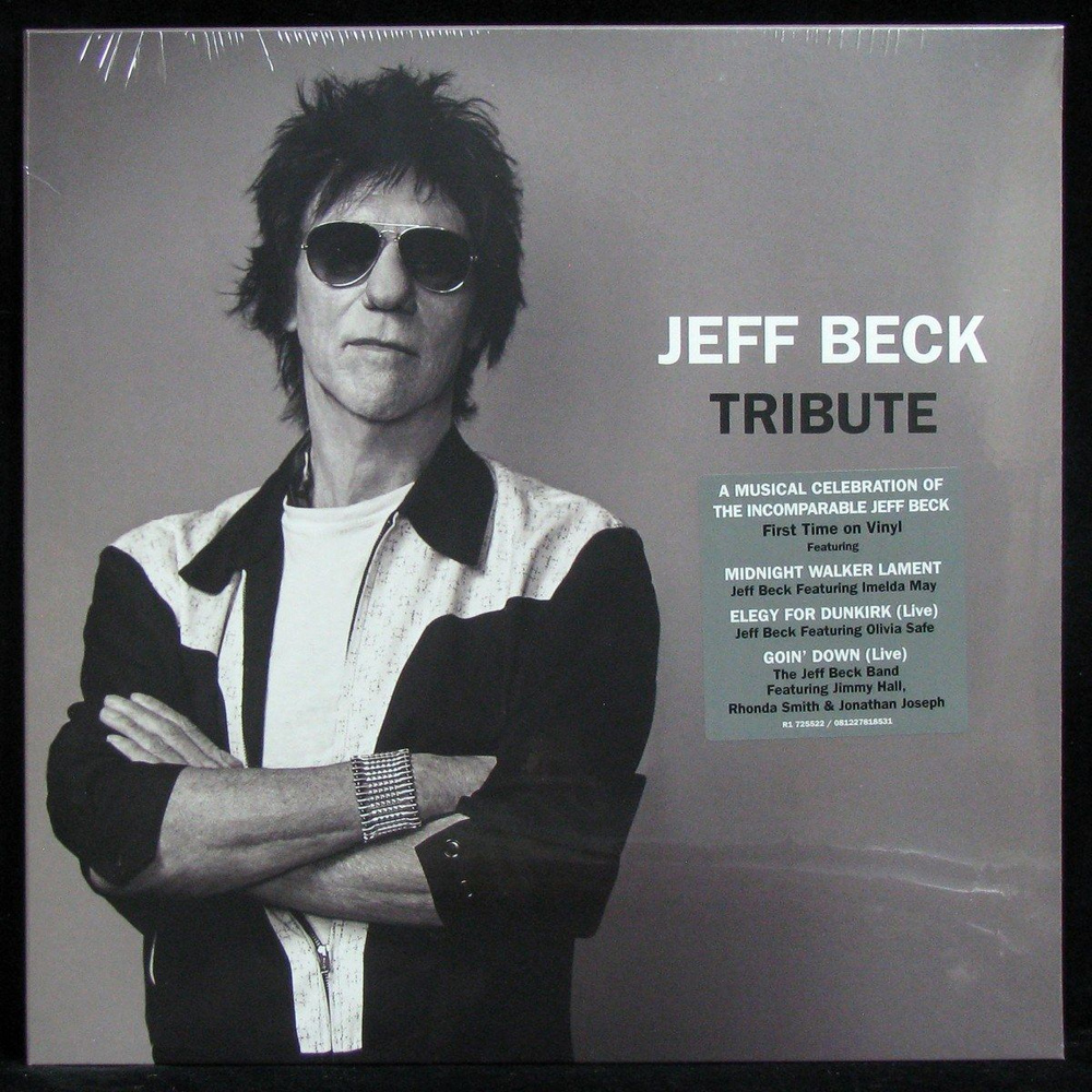 LP Jeff Beck - Tribute (винил) (331058) - купить с доставкой по ...