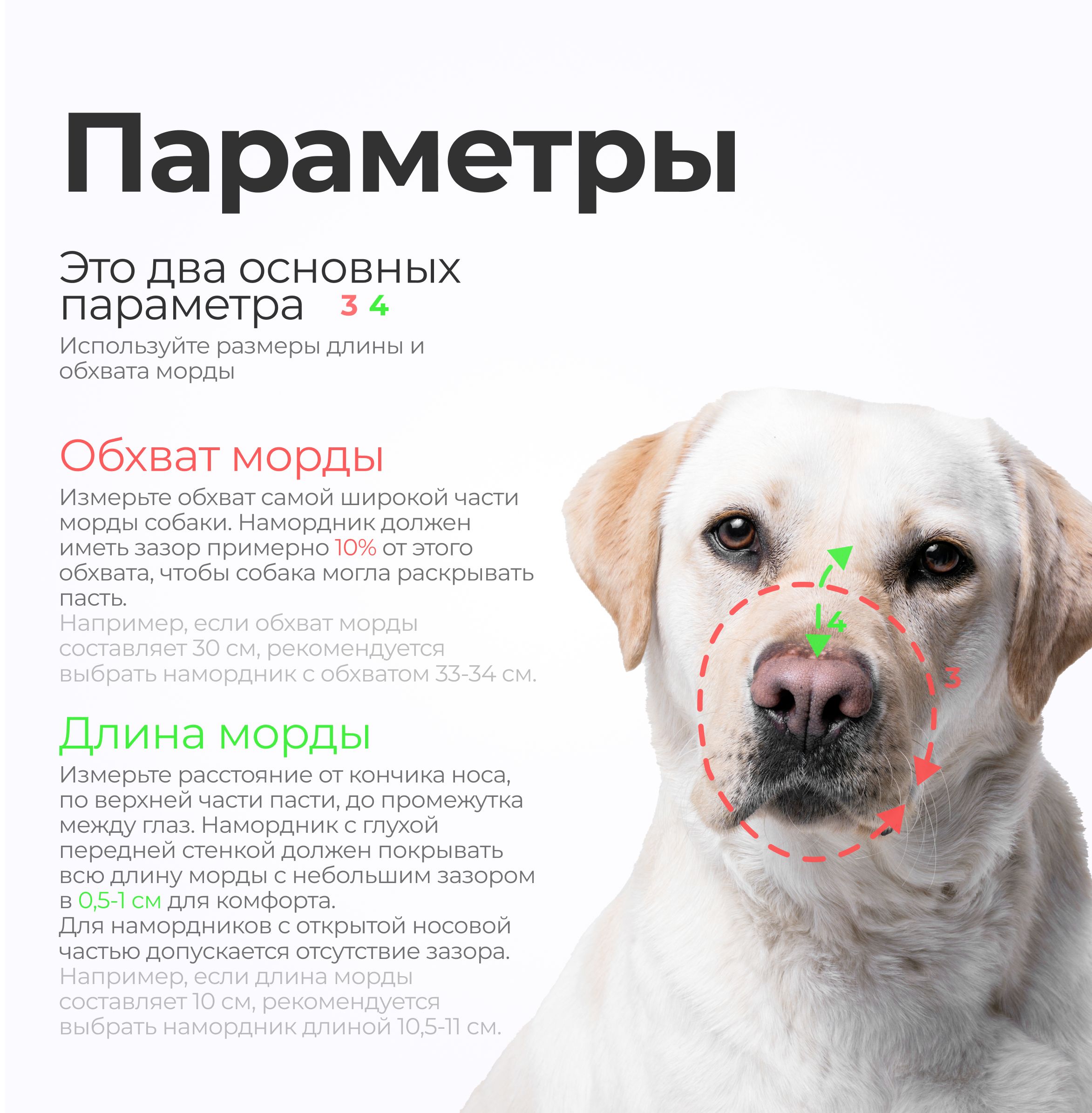 Намордник для средних собак, для пород хаски, лабрадора ...