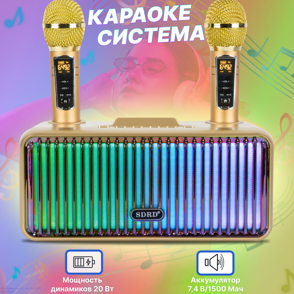 Домашняя Беспроводная Караоке система SDRD SD-319 PRO золотая с двумя ...