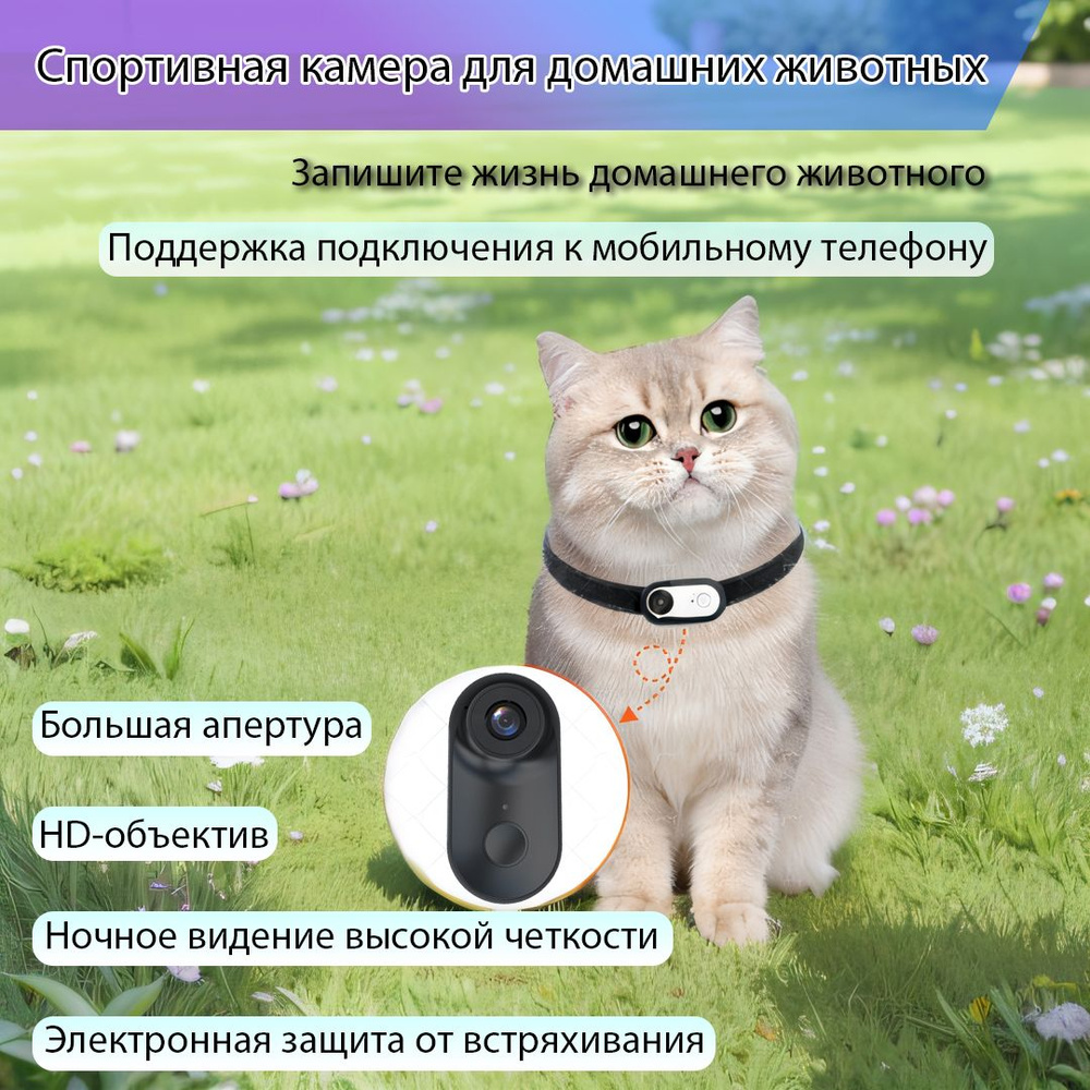 Наружная камера для домашних животных, записывайте жизнь домашних ...