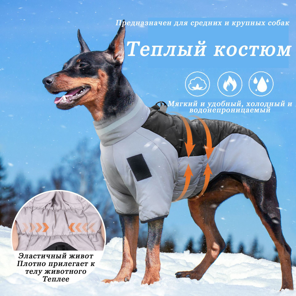 Жилет для собак средних и крупных пород - купить с доставкой по ...