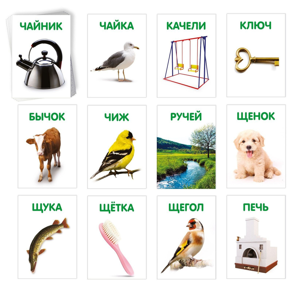 Набор обучающих - развивающих карточек 6 в 1 - купить с доставкой по ...
