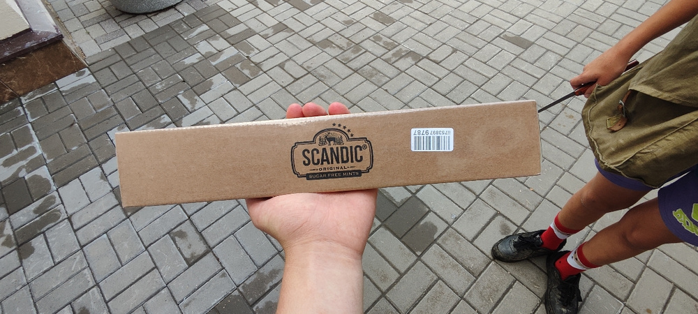 Конфеты SCANDIC 7 вкусов по 14 грамм, драже - купить с доставкой по выгодным ценам в интернет ...