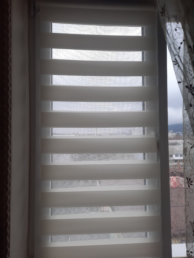 Рулонные шторы ЛюксЛайн PBML01 , размер 57х160 см, белый, Полиэстер купить c доставкой на OZON ...