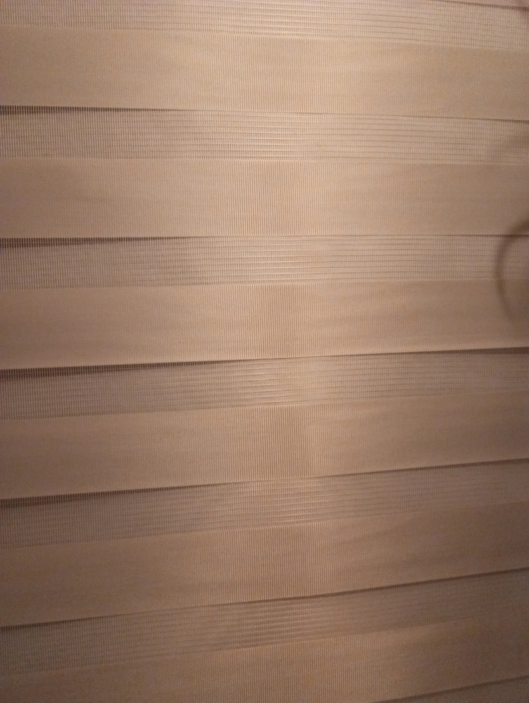 Рулонные шторы ЛюксЛайн PBML01 , размер 57х160 см, белый, Полиэстер купить c доставкой на OZON ...