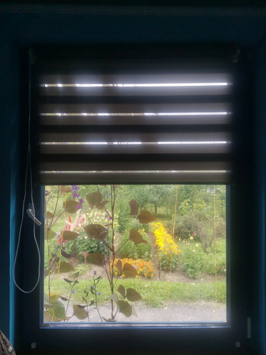 Рулонные шторы ЛюксЛайн PBML01 , размер 43х160 см, белый, Полиэстер купить по низкой цене с ...