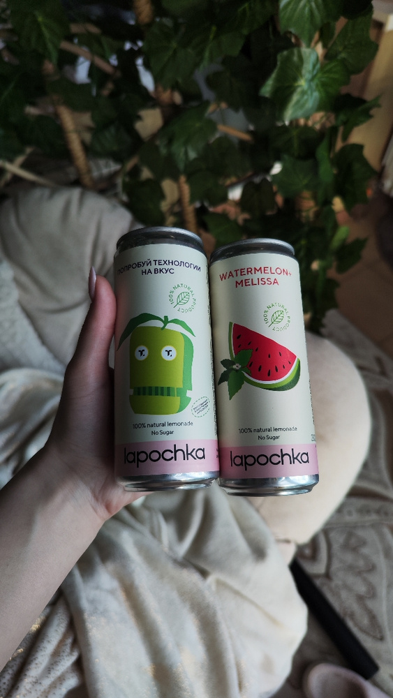 Натуральный лимонад без сахара LAPOCHKA Mix вкусов 6 х 0,33 л - купить с доставкой по выгодным ...